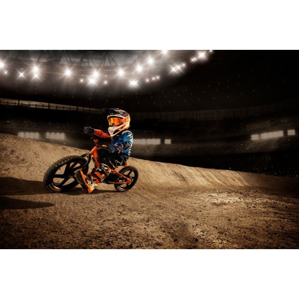 KTM *FACTORY REPLICA STACYC 16eDRIVE Laufrad